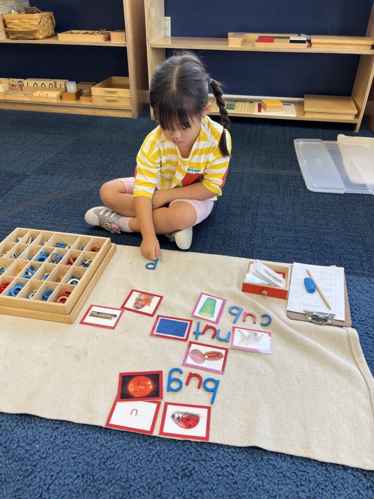 Montessori Work Plans MSOSV Kindergarten Year – Montessori School of ...