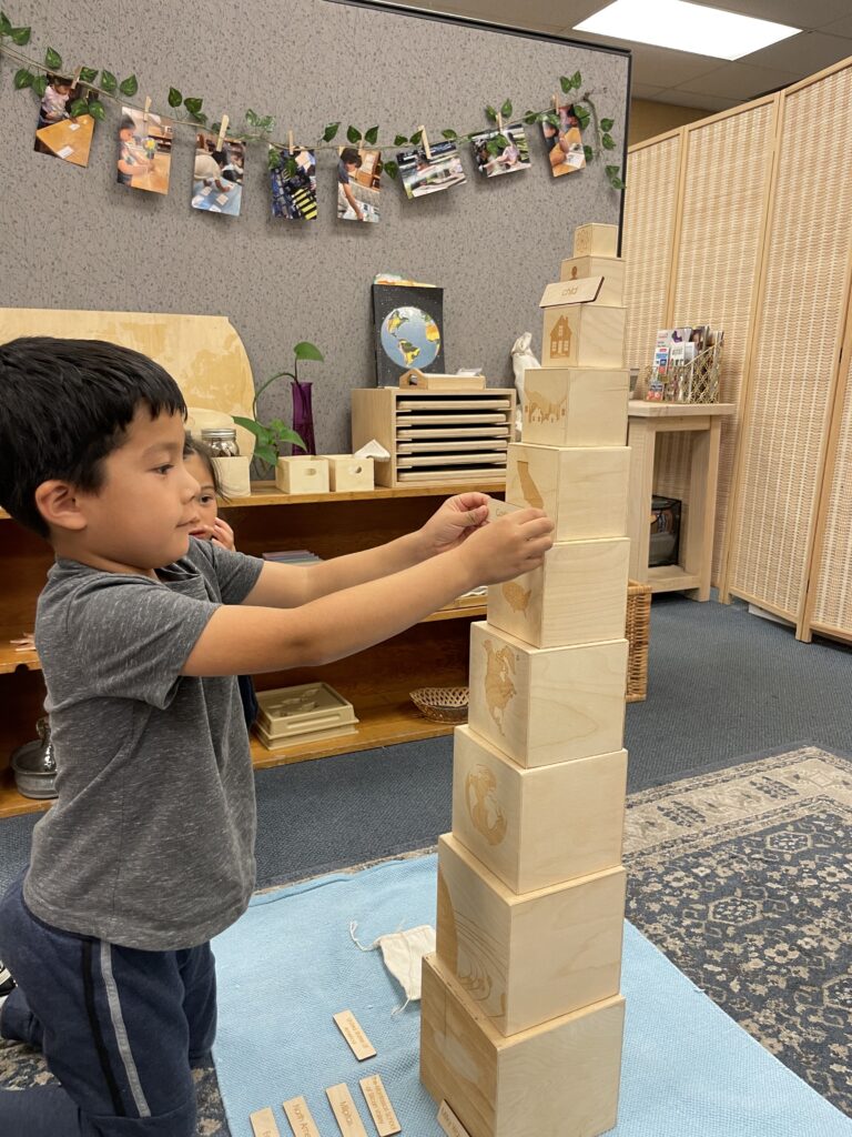 Biomes and Cosmic Curriculum: MSOSV Kindergarten Year – Montessori ...